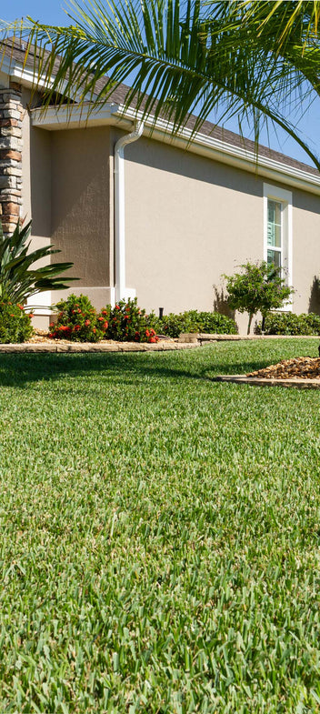 Scott's® ProVista™ St. Augustine