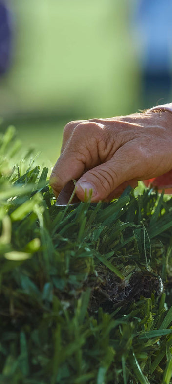 Scott's® ProVista™ St. Augustine